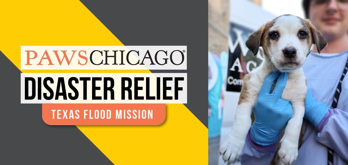 Donate to Texas Flood Disaster Relief 2025